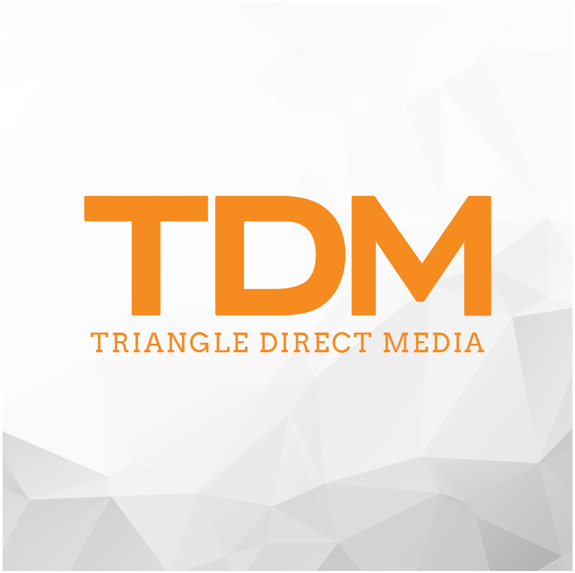 Building Visibility In The AI-First Future of Search - Triangle Direct ...